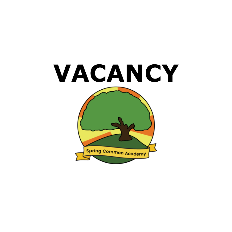 Spring Common Academy - Academy Advisory Group