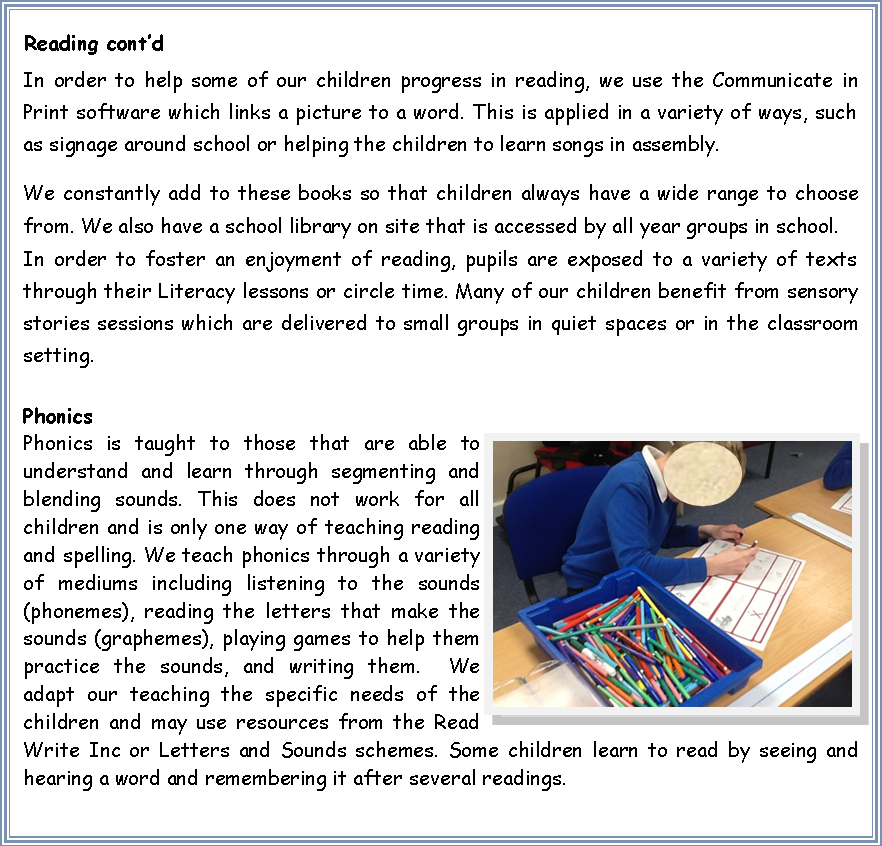 Spring Common Academy - English