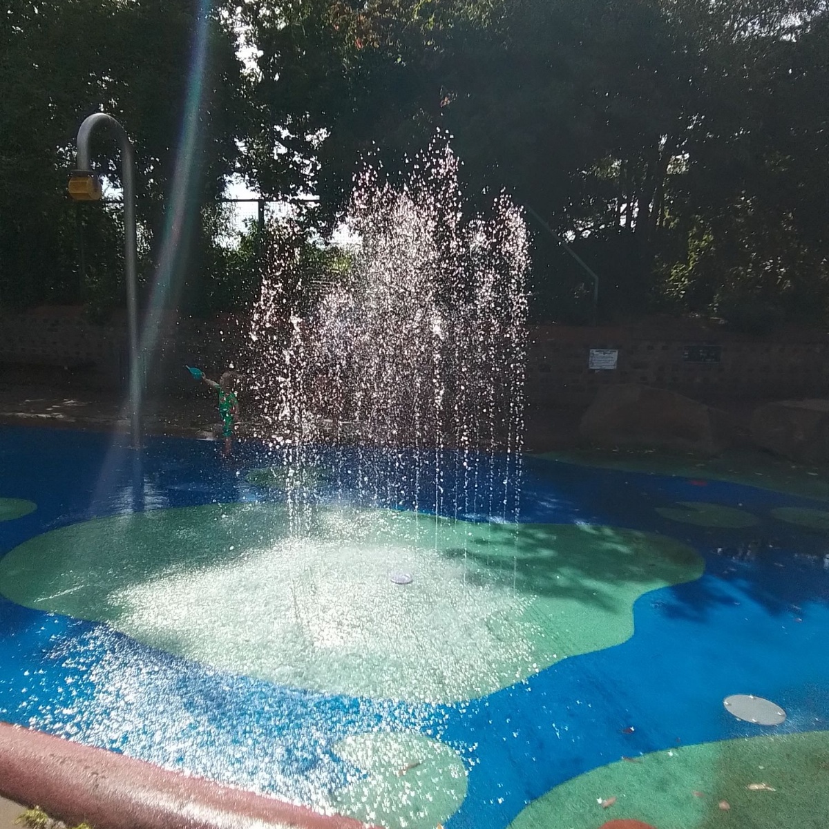 Spring Common Academy - Spring Common Academy Visits Dragon Park