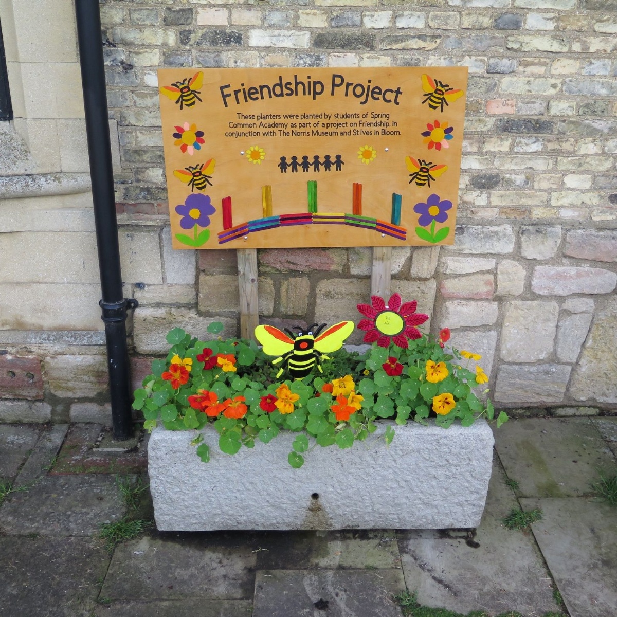 Spring Common Academy - St Ives in Bloom and the Norris Museum