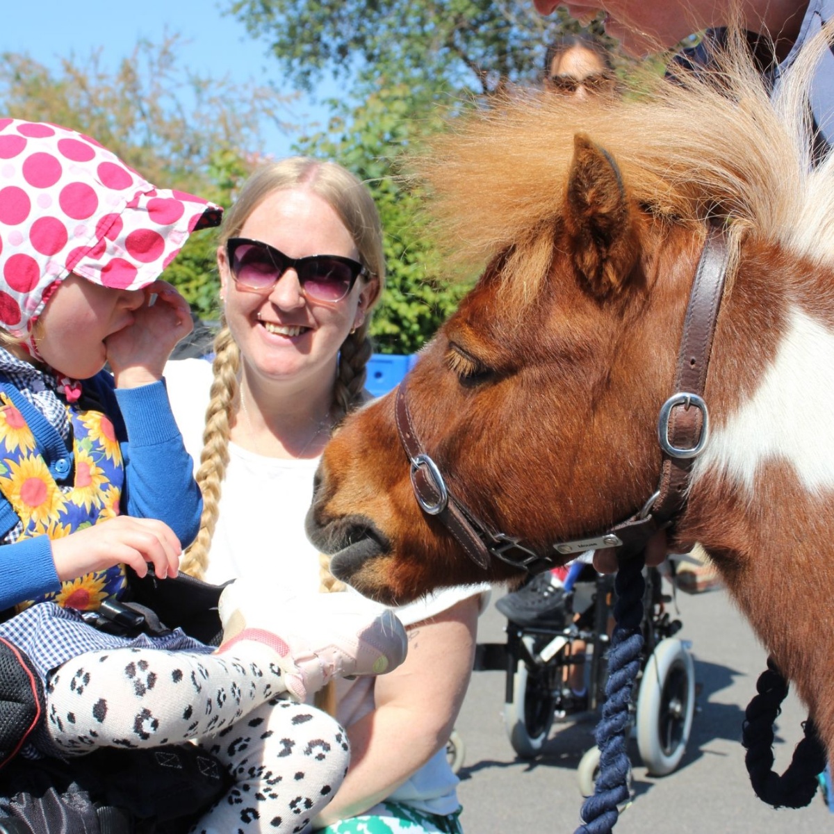 Spring Common Academy - Summer Fair 2024