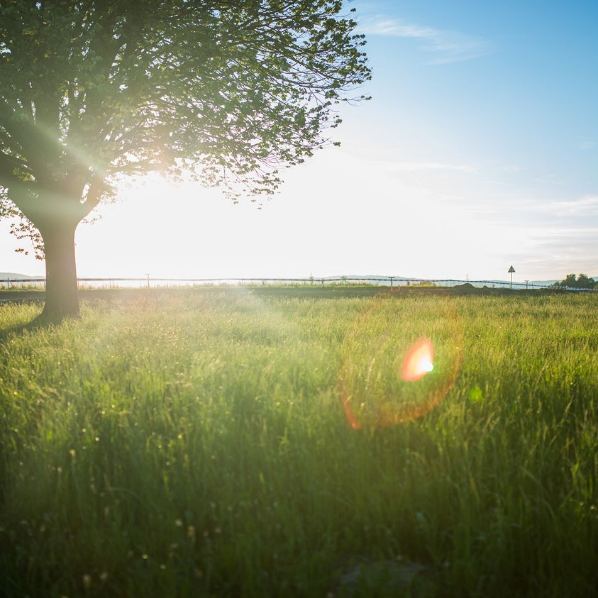 Spring Common Academy - Third News Story